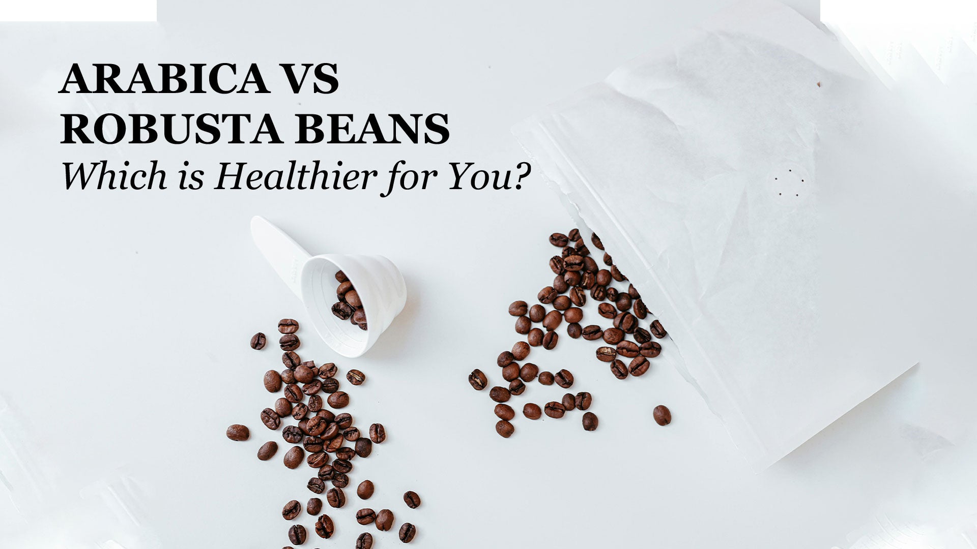 Exploring the Arabica Beans vs Robusta Beans | Gruner