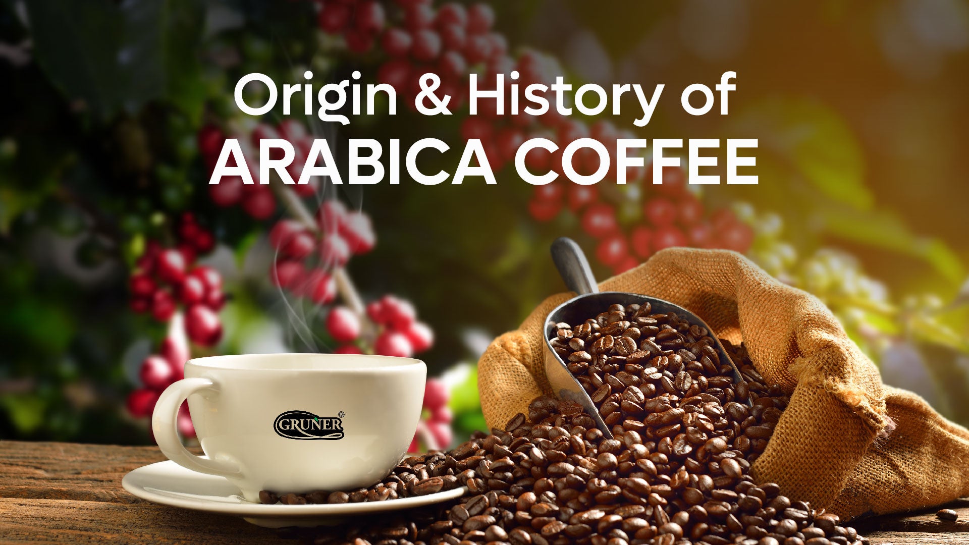 Origin & History Of Arabica Coffee | Gruner